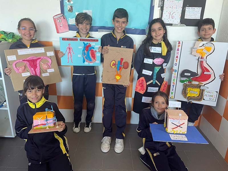 PROYECTO “LOS APARATOS DEL CUERPO HUMANO” EN 5º PRIMARIA - Colegio SJE