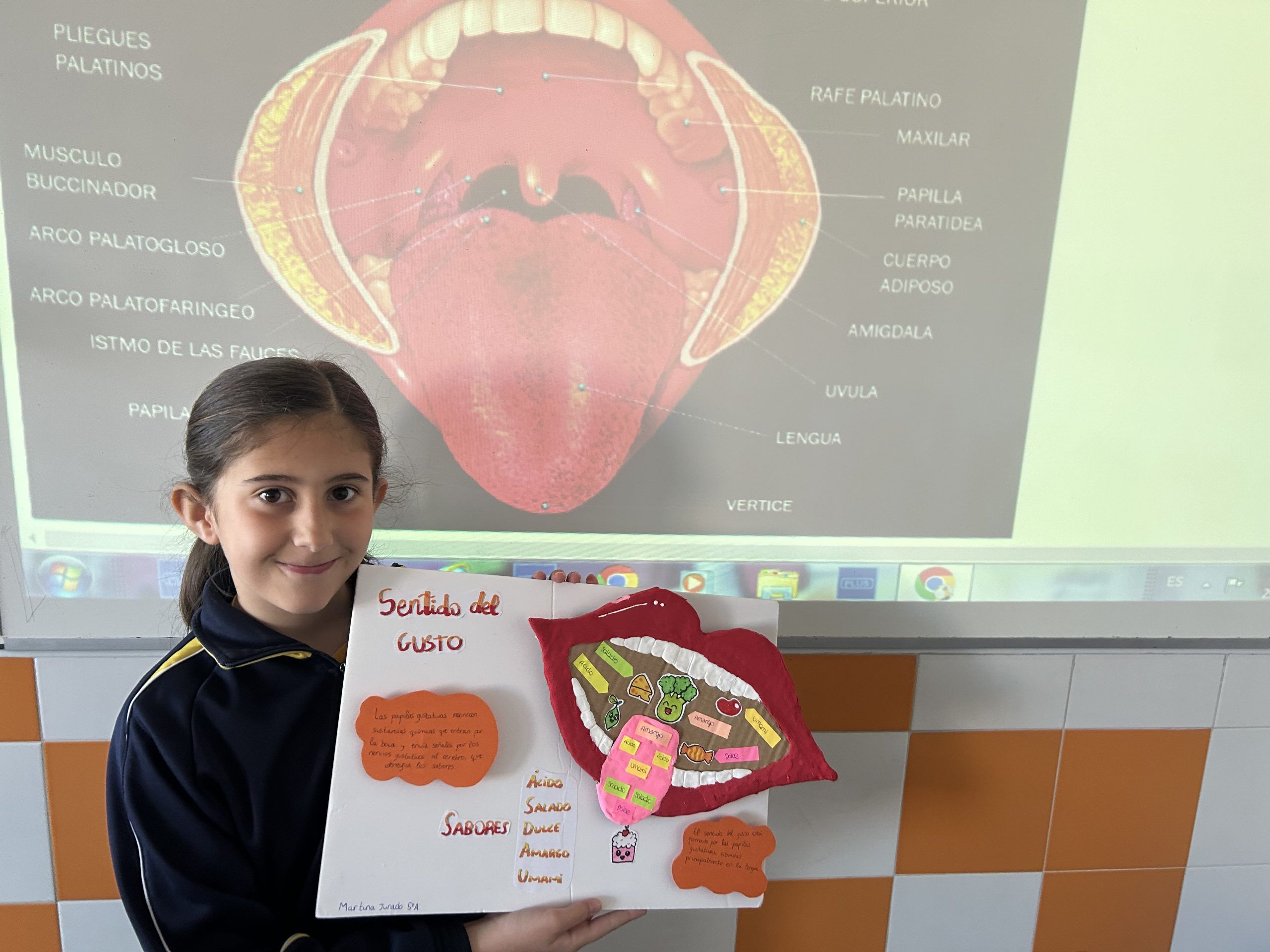 PROYECTOS SOBRE EL CUERPO HUMANO EN PRIMARIA - Colegio SJE