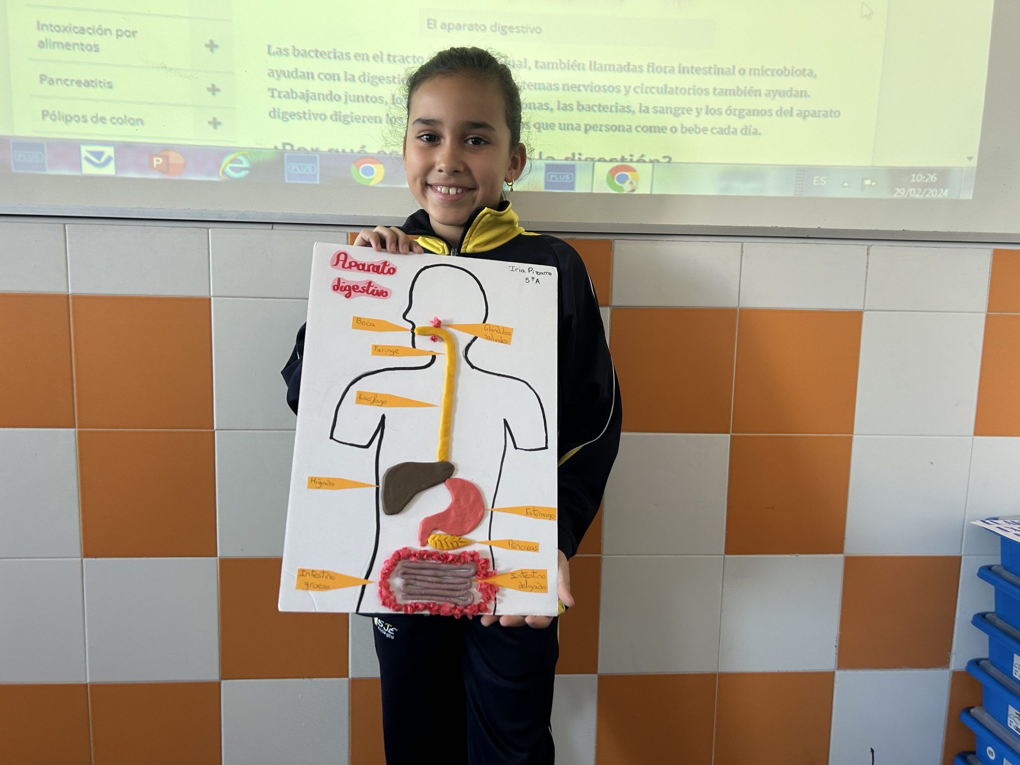 PROYECTOS SOBRE EL CUERPO HUMANO EN PRIMARIA - Colegio SJE